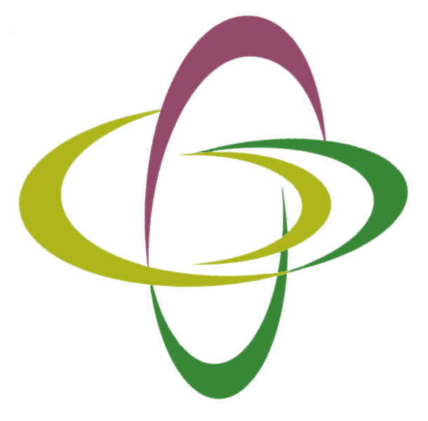 International Competition Network