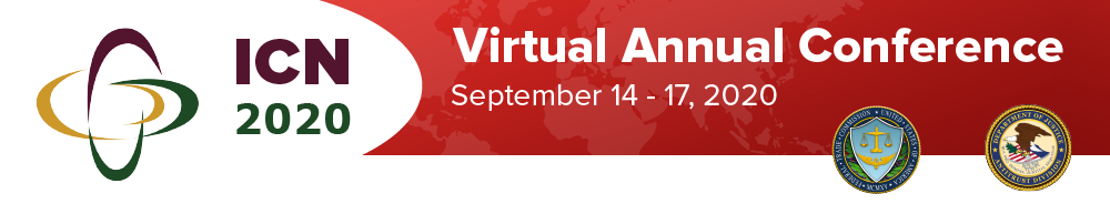 2020 Virtual Annual Conference - ICN