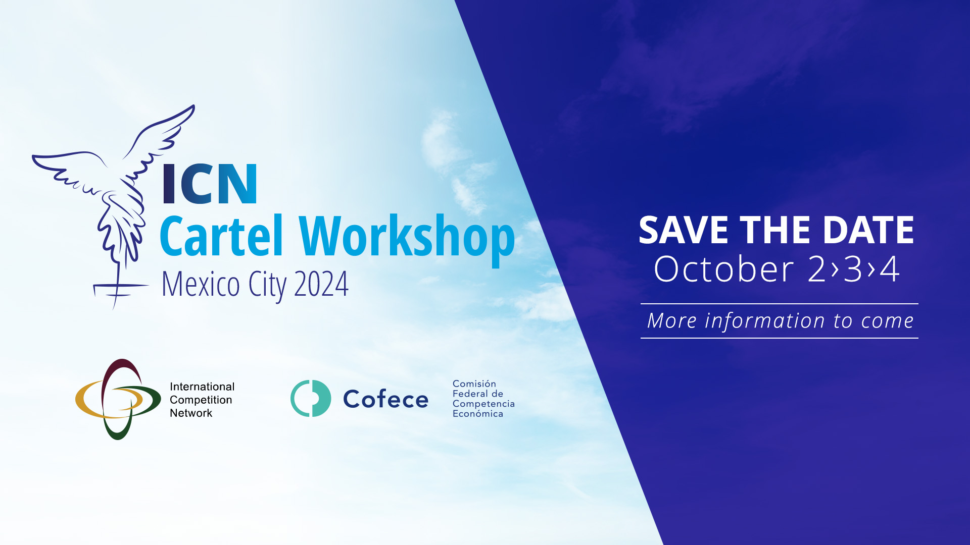 International Competition Network