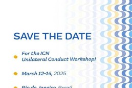 International Competition Network